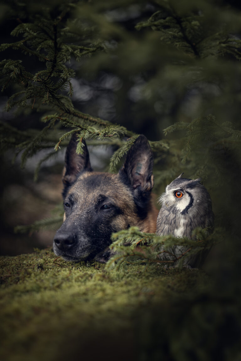 Home - Tanja Brandt