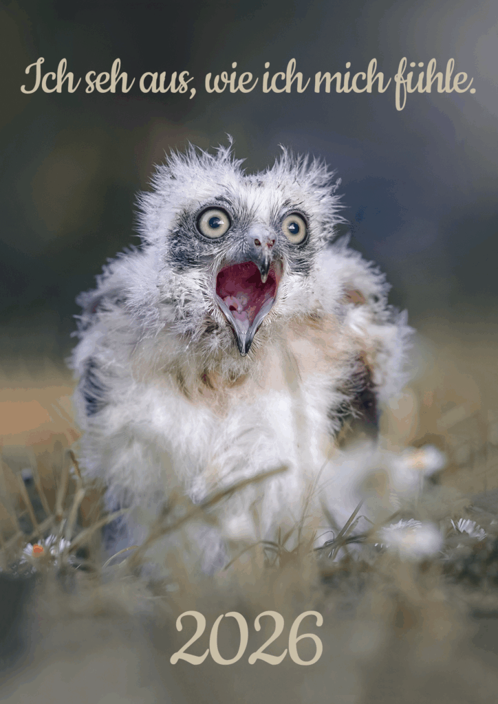 Kalender Ich seh aus, wie ich mich fühle - Tanja Brandt